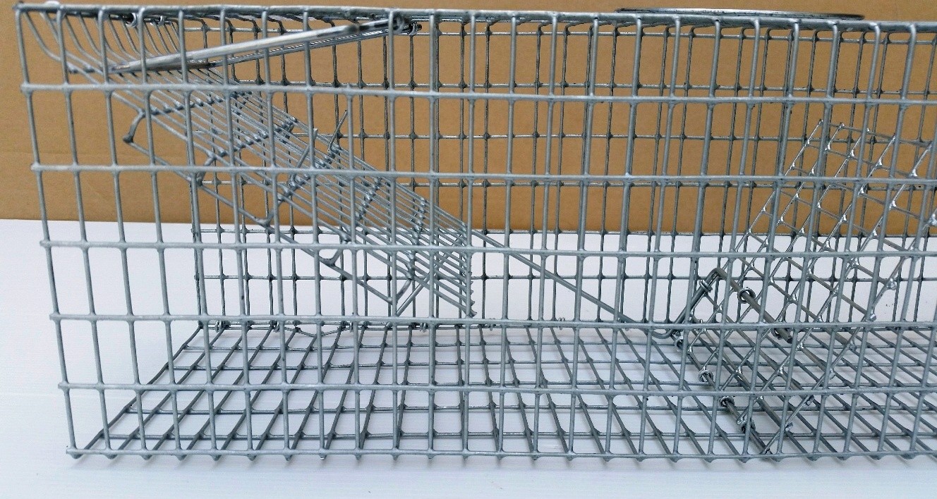 NASSE A RAT 1 ENTREE 50X15X15