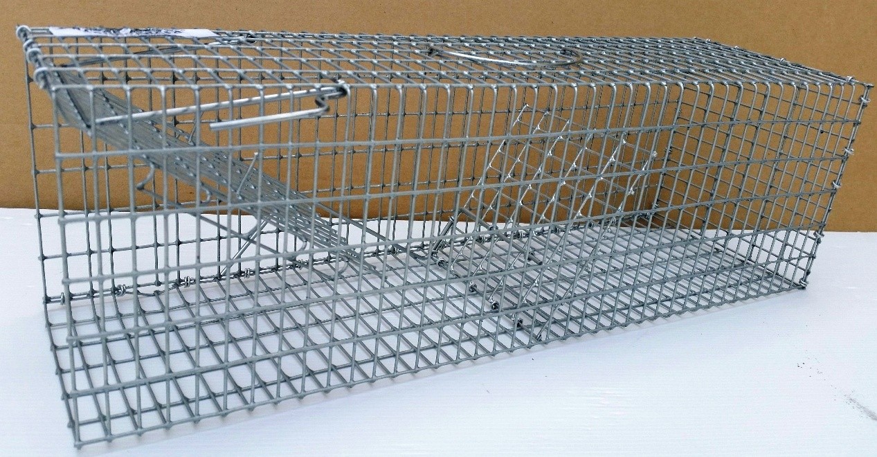 NASSE A RAT 1 ENTREE 50X15X15