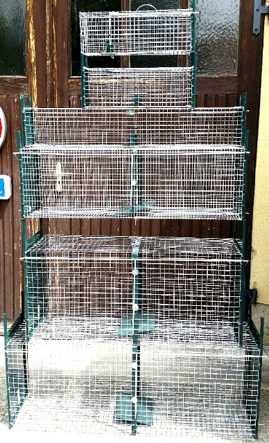 NASSE A RAT 2 ENTREES 50X18X18 CM_