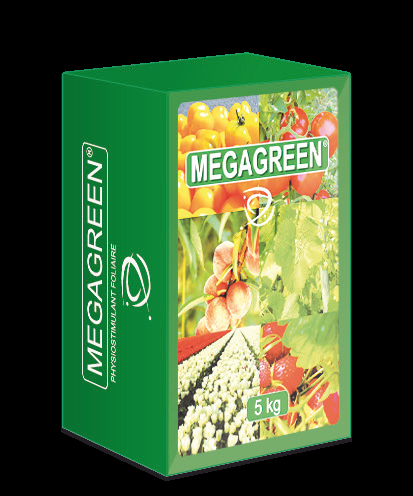 MEGAGREEN 1KG
