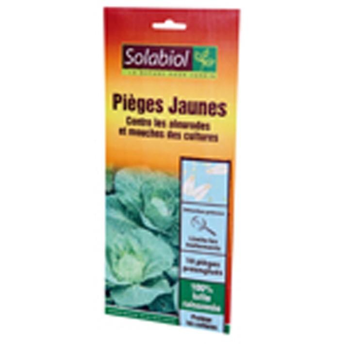 Mini piège jaune solabiol 12pc