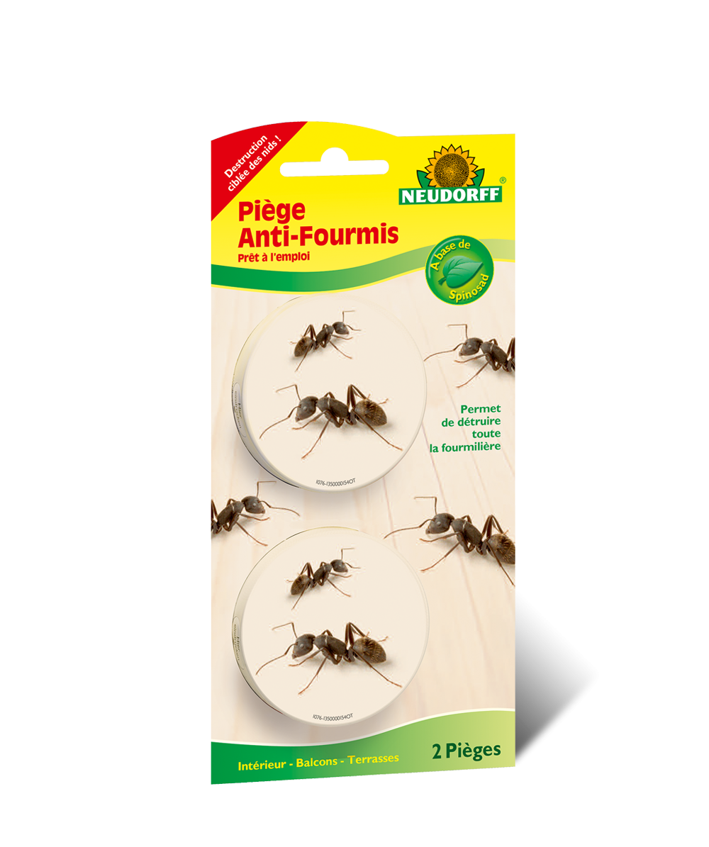 FOURMIS PIEGES 2 BOITES